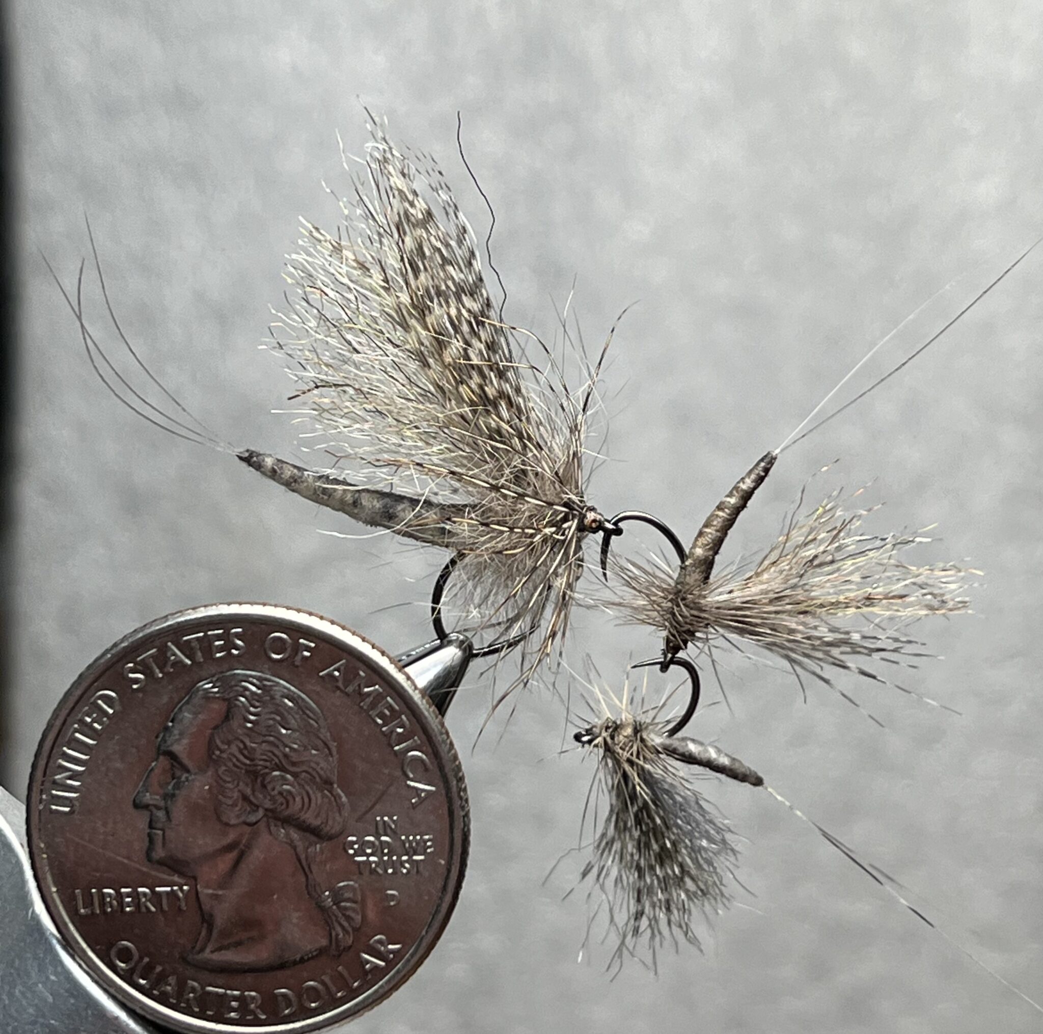 Extended Body Mayflies by Dan West – wscffi