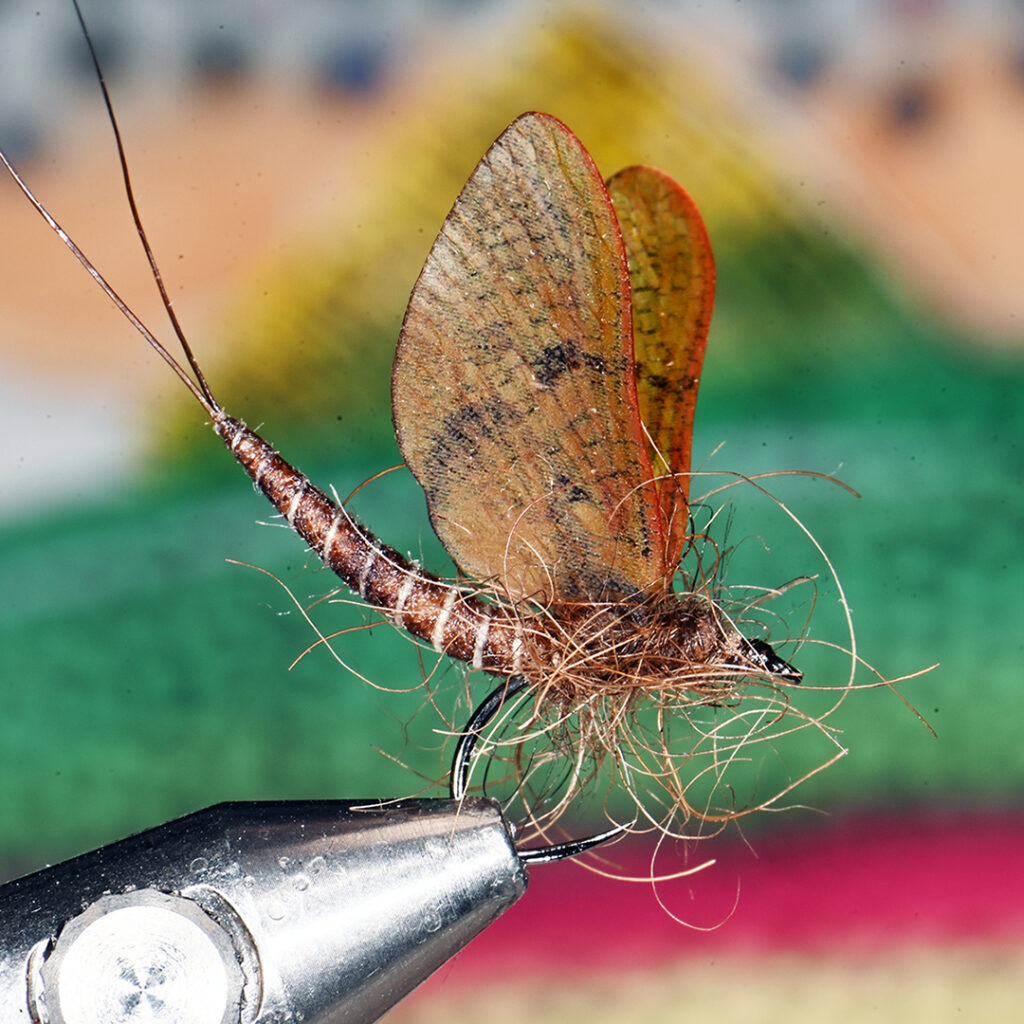 Extended Body Mayflies by Dan West Part 3 – wscffi
